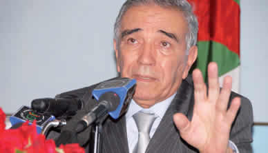 Développement de Bordj Badji-Mokhtar et Timiaouine ,L’Etat met le ...