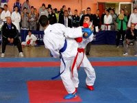 Mondiaux-2013 de Karaté-do (Kumité- 55 kg) : Ali Allouche, vice ...