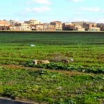 Blida : la révision des PDAU, solution idéale pour préserver la plaine ...