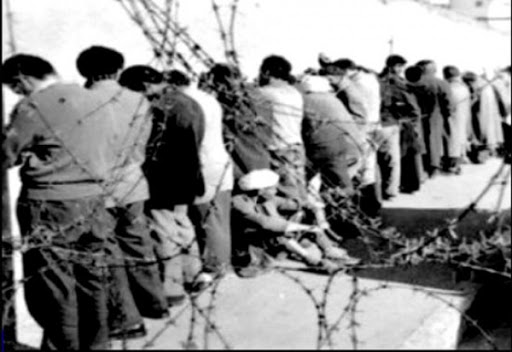 Les Massacres Du 8 Mai 1945 Ont Constitué Le Véritable Printemps Arabe