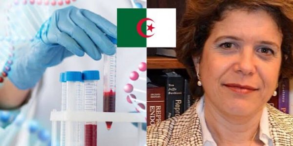 Une Algérienne décroche trois brevets d'invention aux États-Unis ...