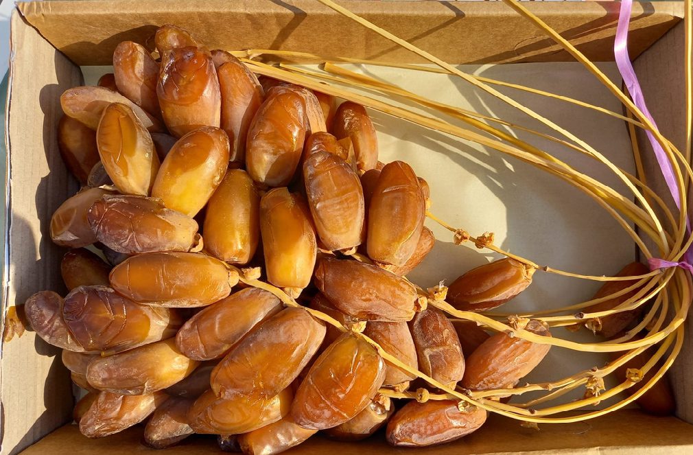 Exportations de dattes algériennes : le Gouvernement met les bouchées ...