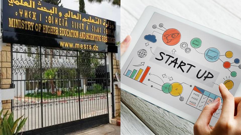 Startups et étudiants : quelles nouveautés pour cette année ? - Algerie360