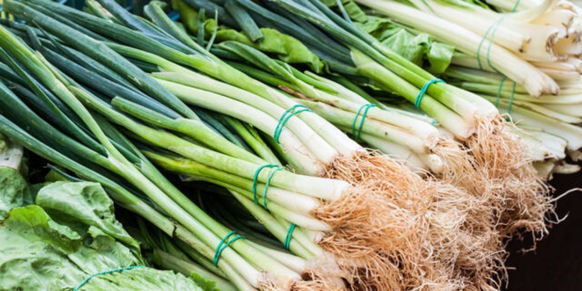 Baisse du prix de l’oignon vert en Algérie, l’oignon rouge va-t-il ...