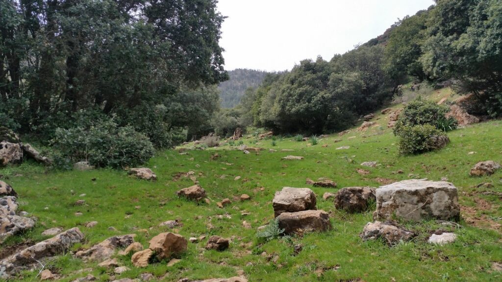 La biodiversité en Algérie : des parcs naturels a couper le souffle - Algerie360