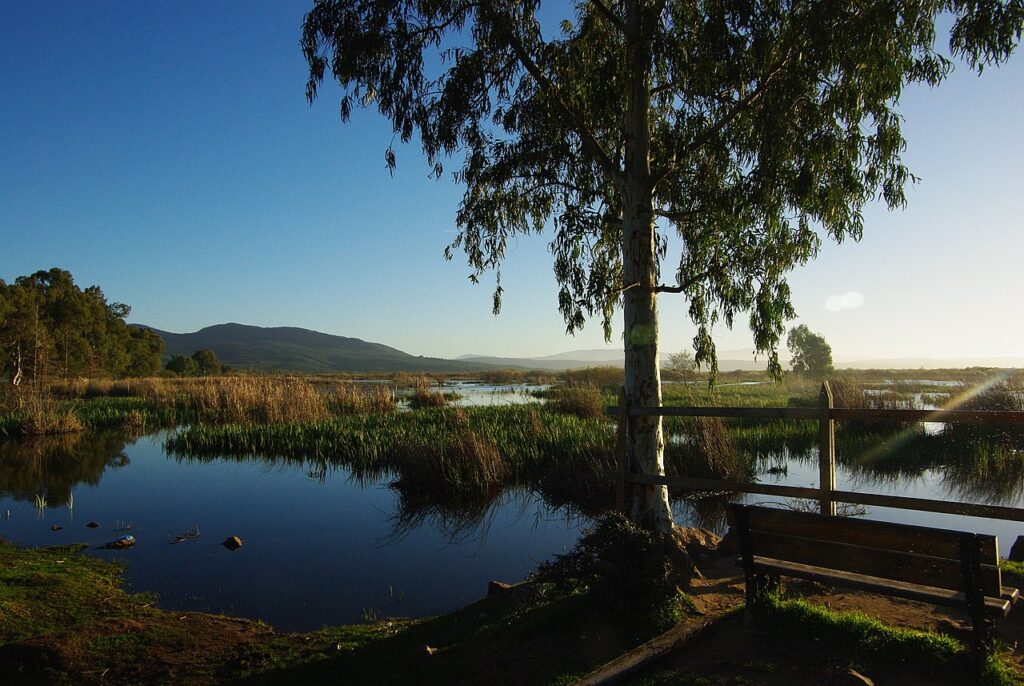 La biodiversité en Algérie : des parcs naturels a couper le souffle ...