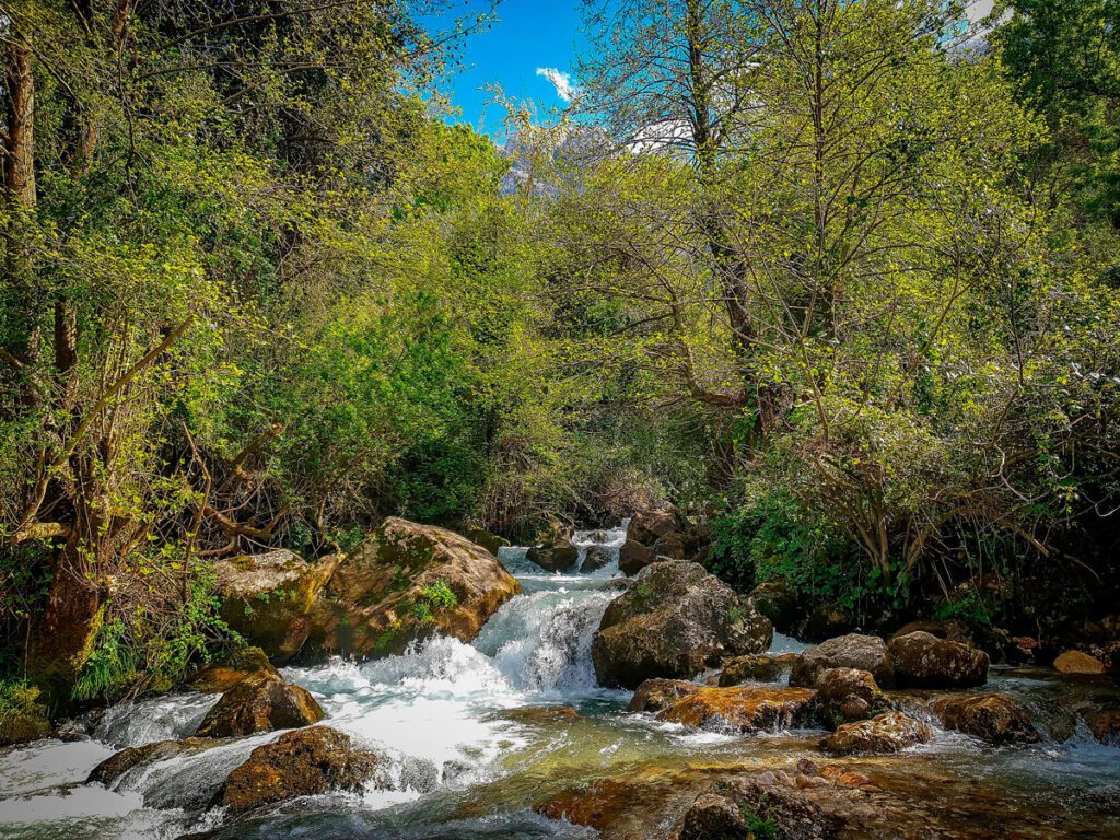 La biodiversité en Algérie : des parcs naturels a couper le souffle ...