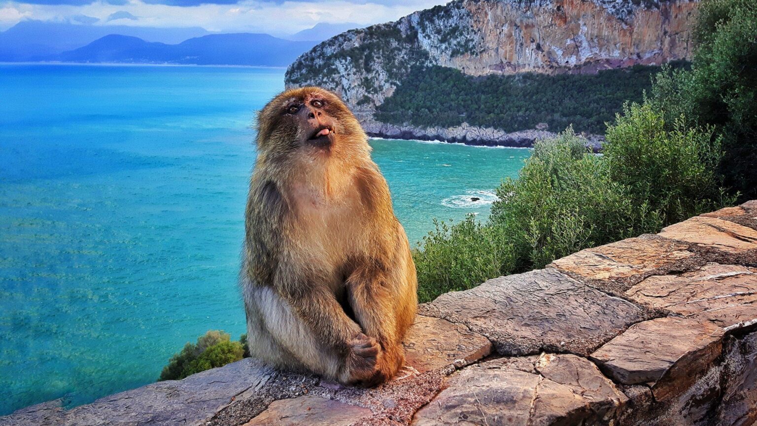 La biodiversité en Algérie : des parcs naturels a couper le souffle ...