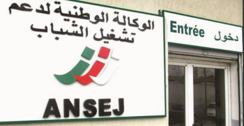 ANSEJ NESDA: Financement de près de 9900 projets en 2023