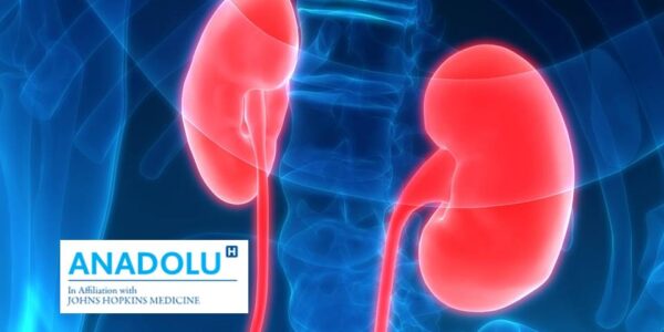 Comprendre l'infection rénale : symptômes, causes et traitement