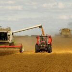 Partenariat italo-algérien : Voici la date du lancement du projet ...