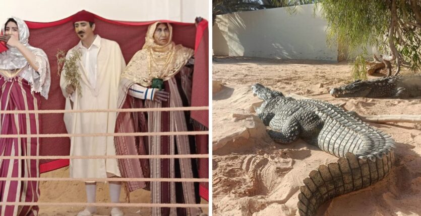 Djerba : Entre soleil, plages et traditions… Un voyage au cœur de la ...