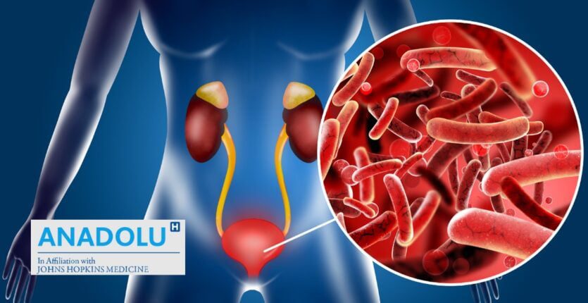 Cystite, prostatite : comment reconnaître et soigner une infection ...