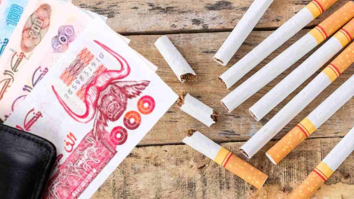 Marché du tabac sous haute surveillance : nouvelles règles en Algérie ...