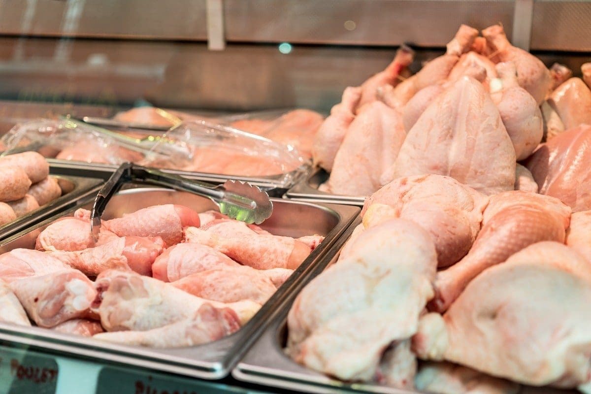 Prix du poulet : baisse alarmante sur le marché - Algerie360
