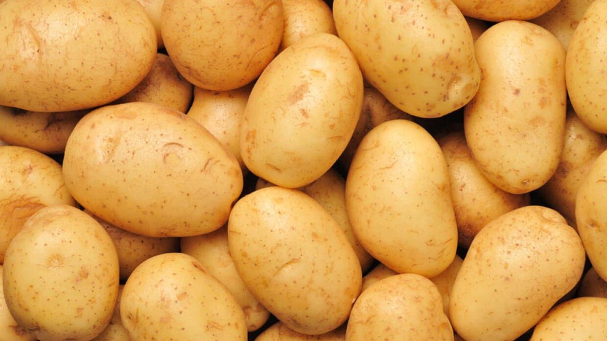 Spéculation sur la pomme de terre : l’État réagit et fixe un prix ...