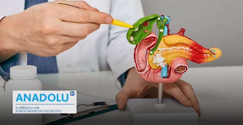 Cancer du pancréas : comment l’IA révolutionne le diagnostic et le ...