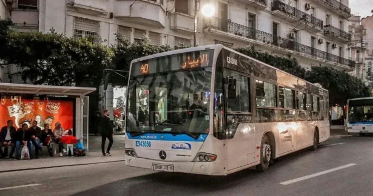 Nouveau souffle pour le transport à Alger : 30 bus flambant neufs et ...