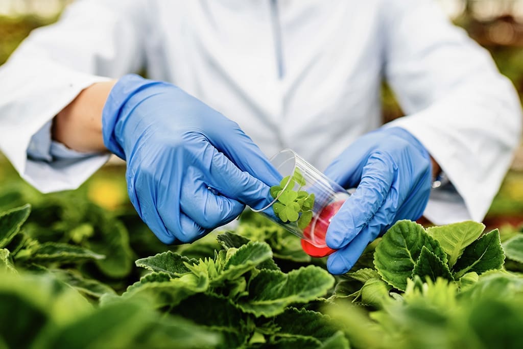 Agriculture : l’Algérie mise sur la biotechnologie pour produire ce ...
