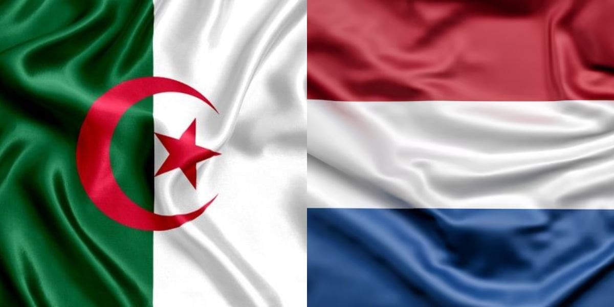 Algérie - Pays-Bas : les deux pays renforcent leur coopération - Algerie360